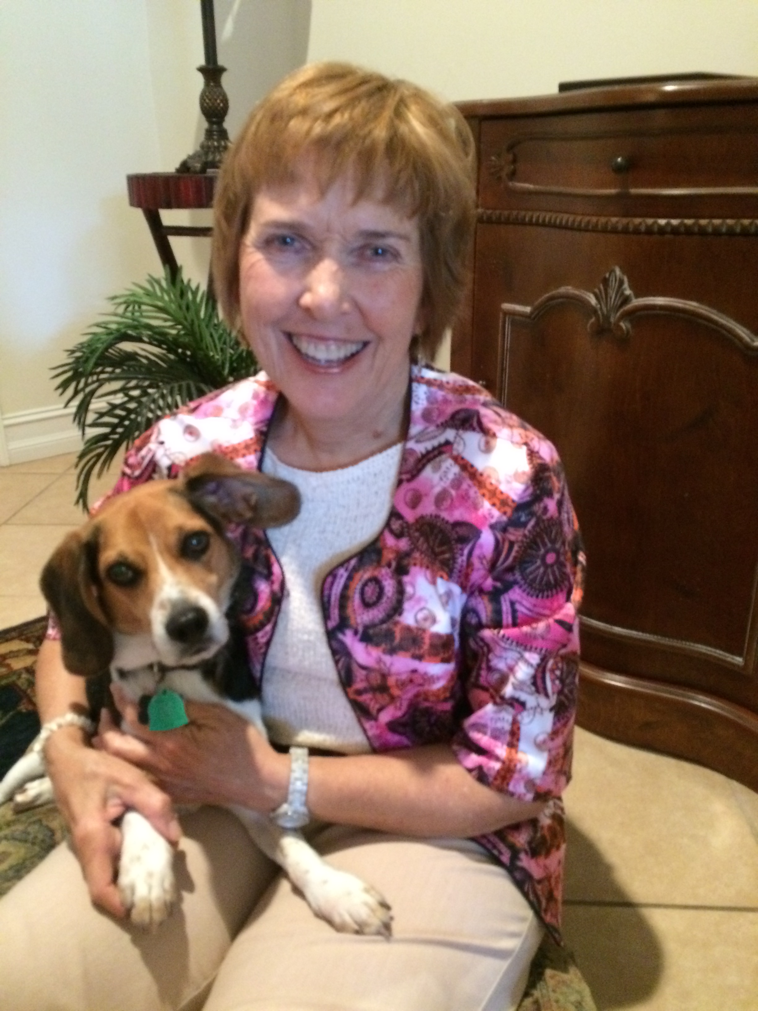 One Beagle’s Battle with Degenerative Disk Disease – debbieburton.blog