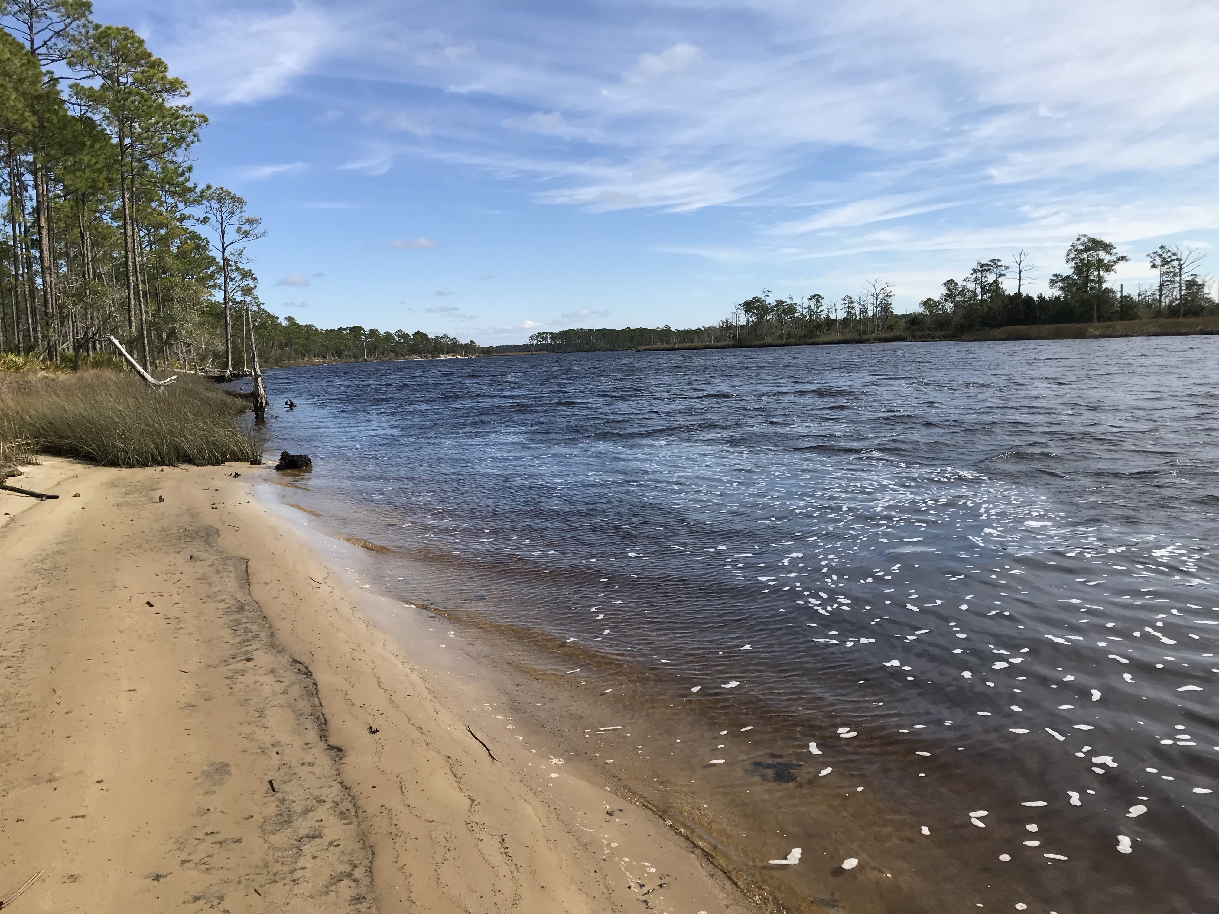 The Rare Animals of Ochlockonee River State Park – debbieburton.blog